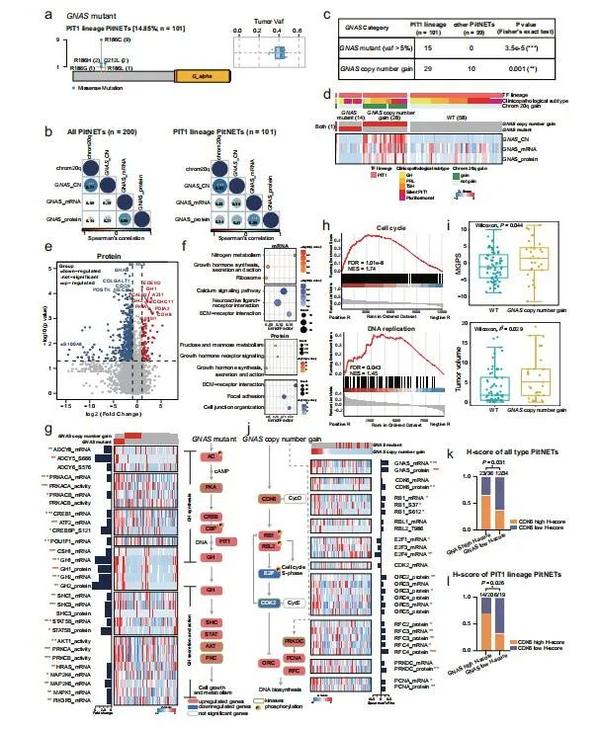 Cell Res | 大规模多组学分析发现垂体瘤组织亚型与靶点 - 知乎