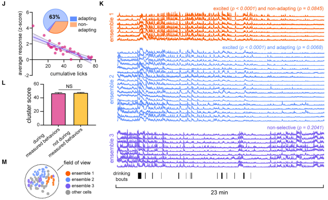 Neuron：5-HT能神经系统如何调节动物广泛多样的行为？ - 知乎