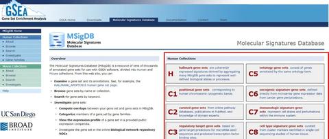 从MSigDB查找感兴趣的基因集 - 知乎