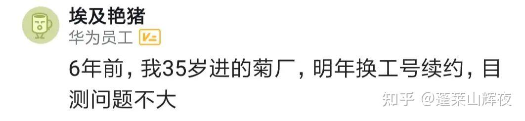 工作4年，见过太多35岁以上程序员被裁，很好奇现在35岁左右的程序员都在干什么？继续苟着还是转行了？ 知乎 