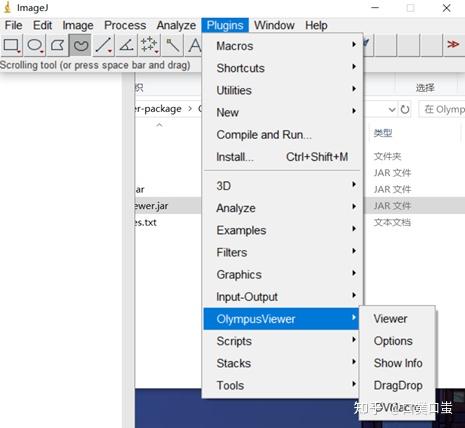 使用ImageJ读取oir文件，并导出Tiff文件方法 - 知乎