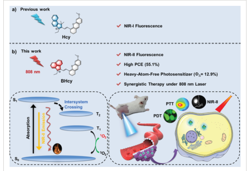 NIR-II 染料 | 用于协同光动力和光热抗癌的NIR-II发射半菁基染料受体工程 - 知乎