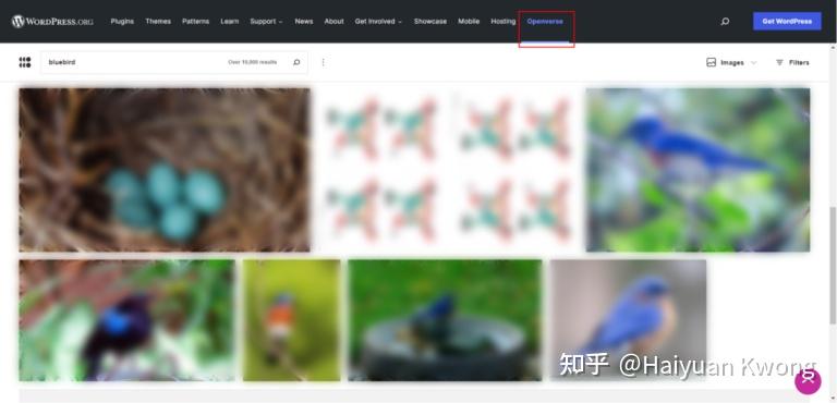 18个最佳图片搜索引擎（图片查找必备） - 知乎