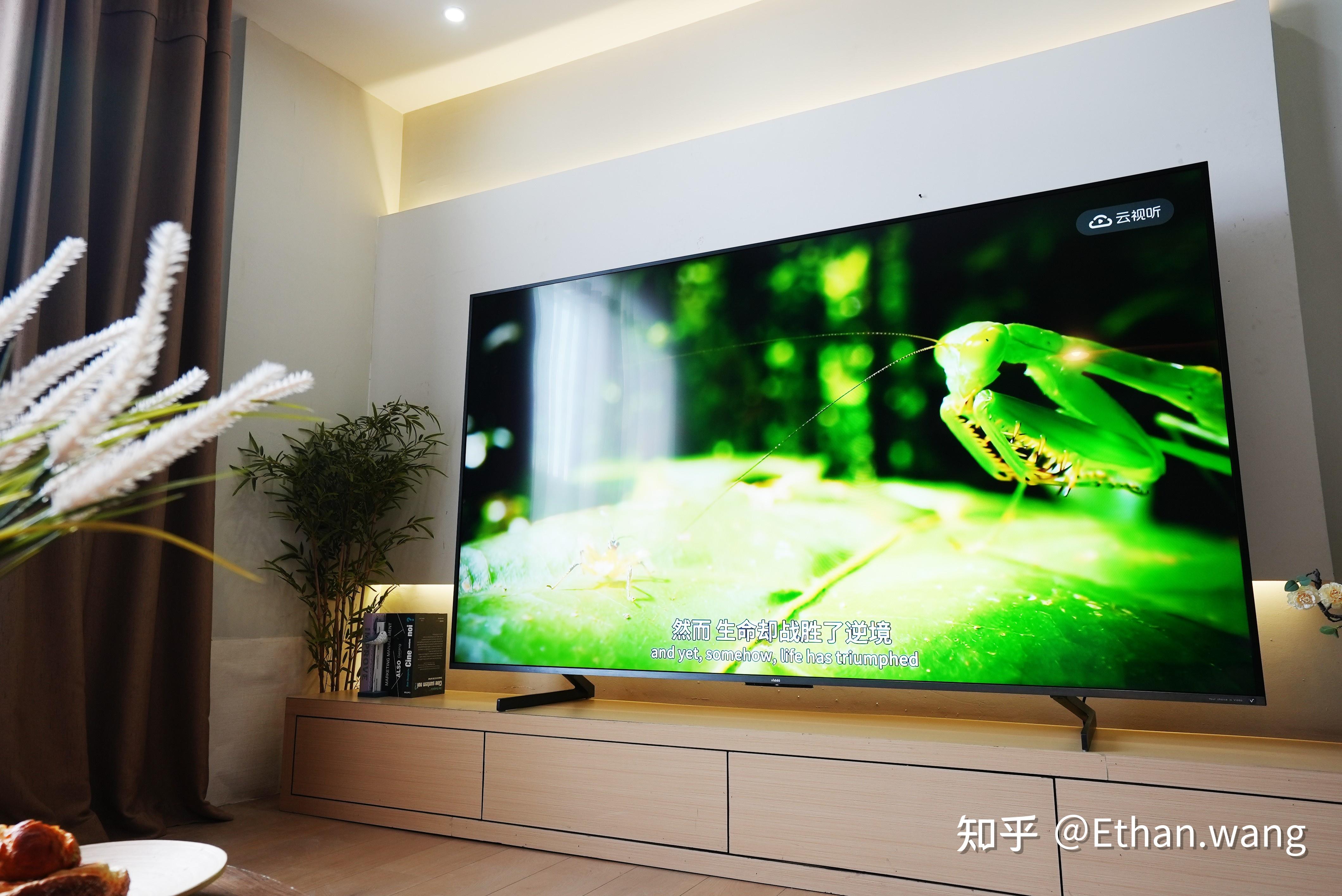双11电视选购指南，买大不买小，Vidda Z100一台就够了 - 知乎