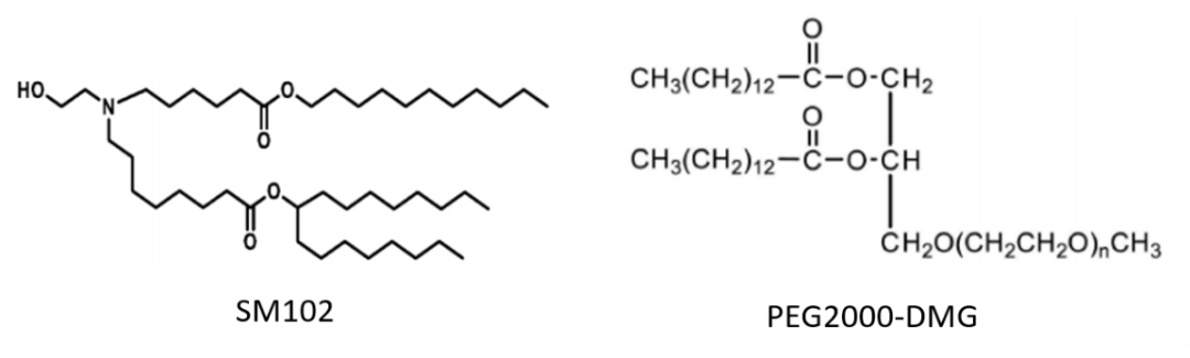 上市mRNA疫苗临床前药代动力学数据解读 - 知乎