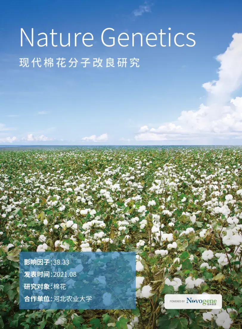 IF1560+ ｜ 诺禾科服2021年高分文章TOP10榜单 - 知乎