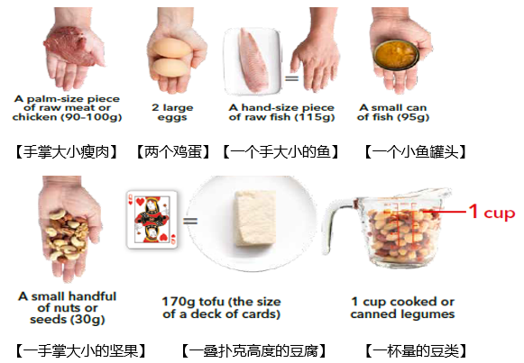 减肥先从控制摄入量开始！ 知乎