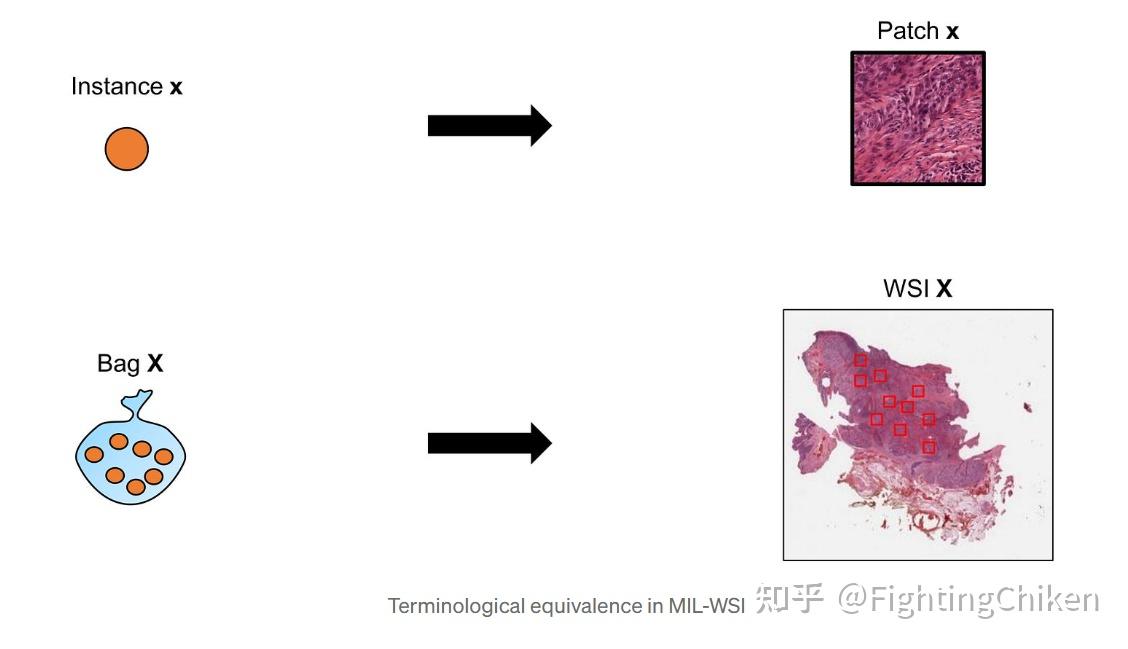 Multiple instance learning(MIL) - 知乎