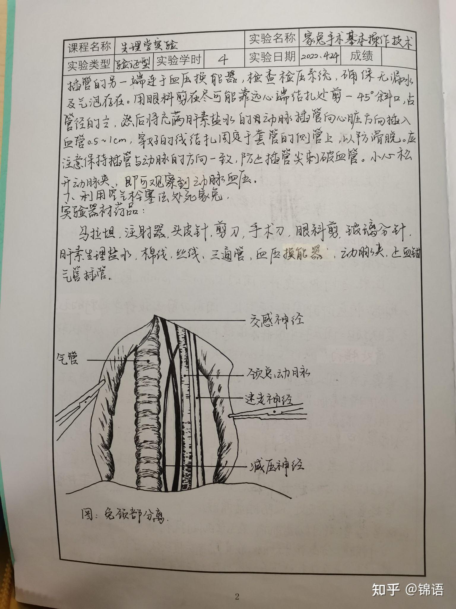 生理学机能实验—家兔手术基本操作 实验报告册 - 知乎