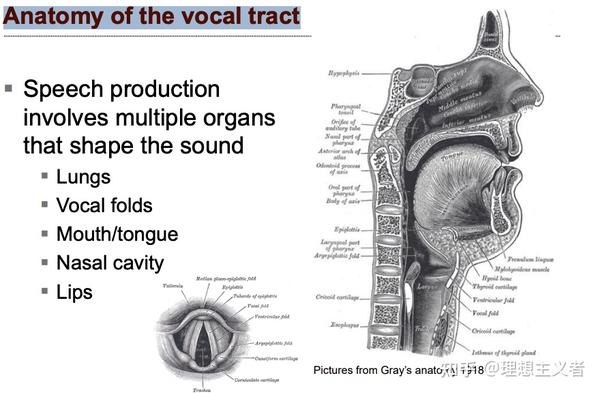 4. Vocal Messages - 知乎