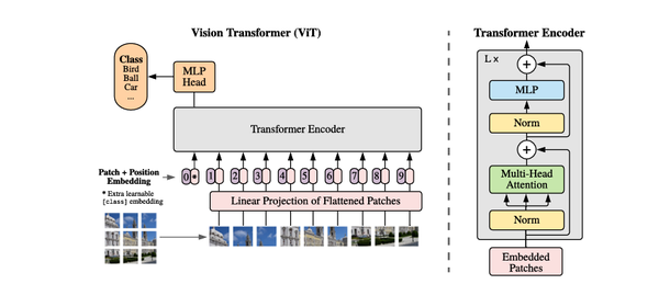 逐步解析Vision Transformer各细节，附带源码与微调讲解，让你不再担心只会原理而写不出来代码！（最后附原论文详细阅读）~ - 知乎