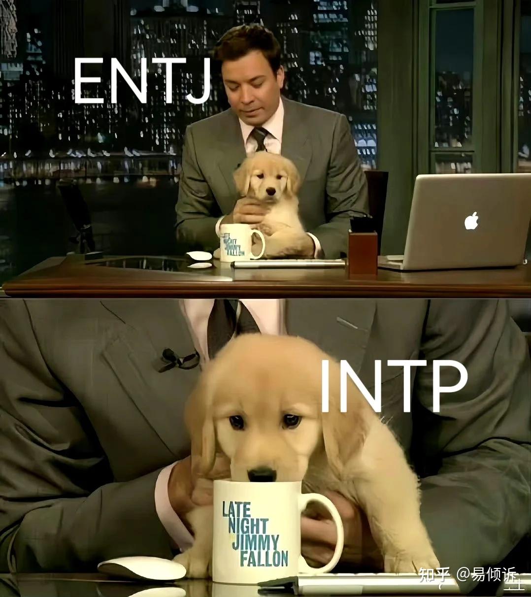 ENTJ+INTP：这对CP你磕了吗？ - 知乎