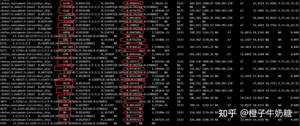 使用 KaKs Calculator 计算 KaKs 的衍生问题解答 - 知乎