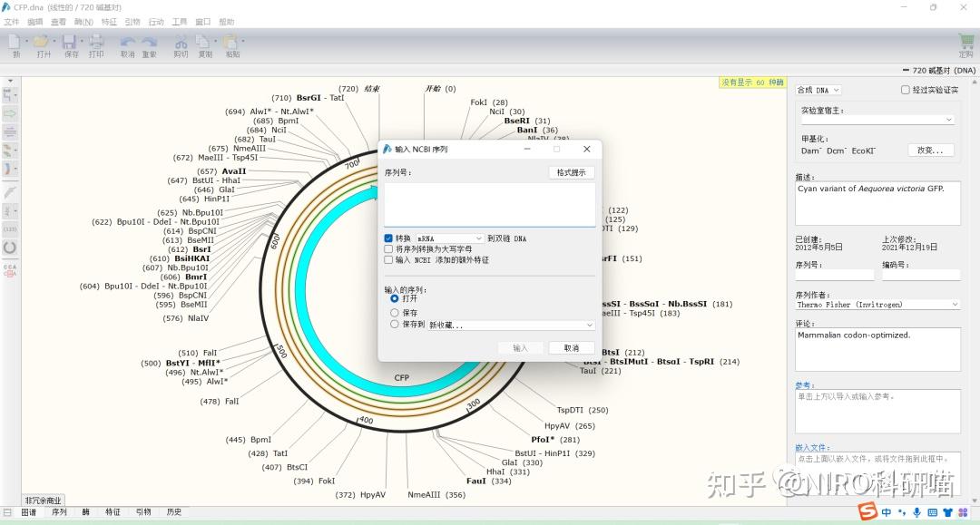 超详细的保姆级SnapGene软件应用汇总，建议收藏备用！！！ - 知乎