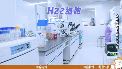H22细胞培养，小鼠腹水肝癌细胞培养攻略-丰晖生物 - 知乎