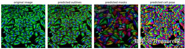 细胞分割神器——Cellpose（安装篇） - 知乎