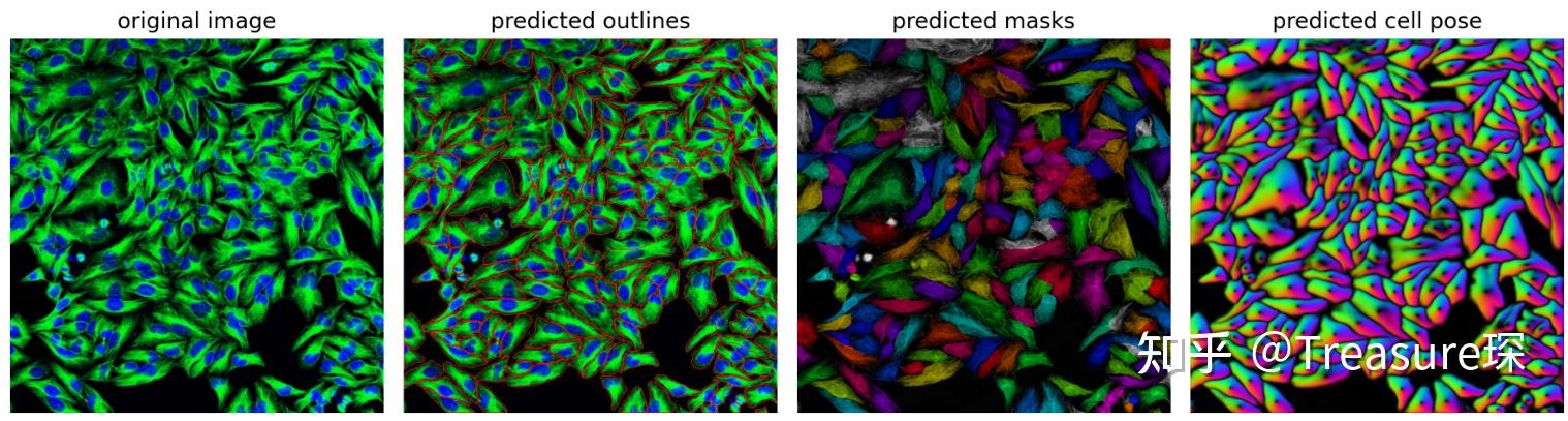 细胞分割神器——Cellpose（安装篇） - 知乎