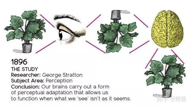 见所见，所见非真见（为什么新眼镜总存在适应问题） - 知乎