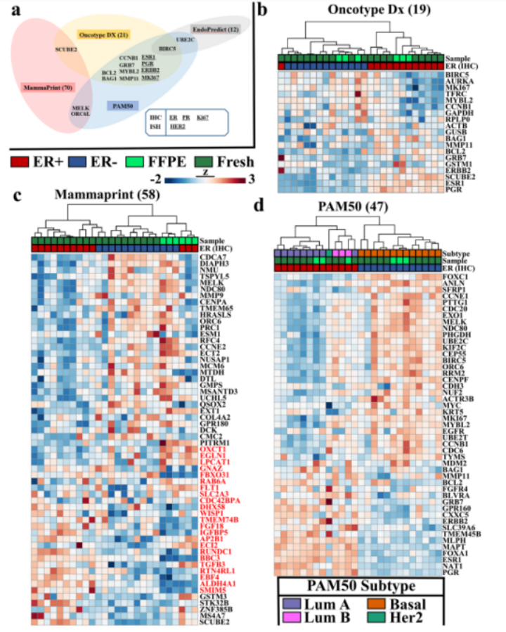 高分SCI无人区来了！FFPE单细胞技术解锁临床回顾性研究新选题 - 知乎