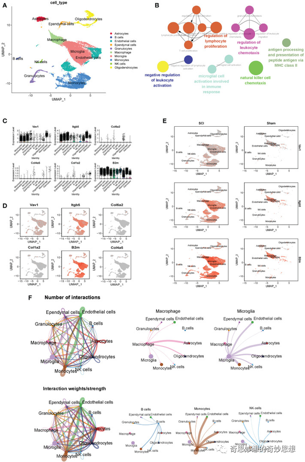 单细胞和bulk RNA测序的联合分析，揭示了脊髓损伤中的免疫浸润和靶向治疗药物 - 知乎