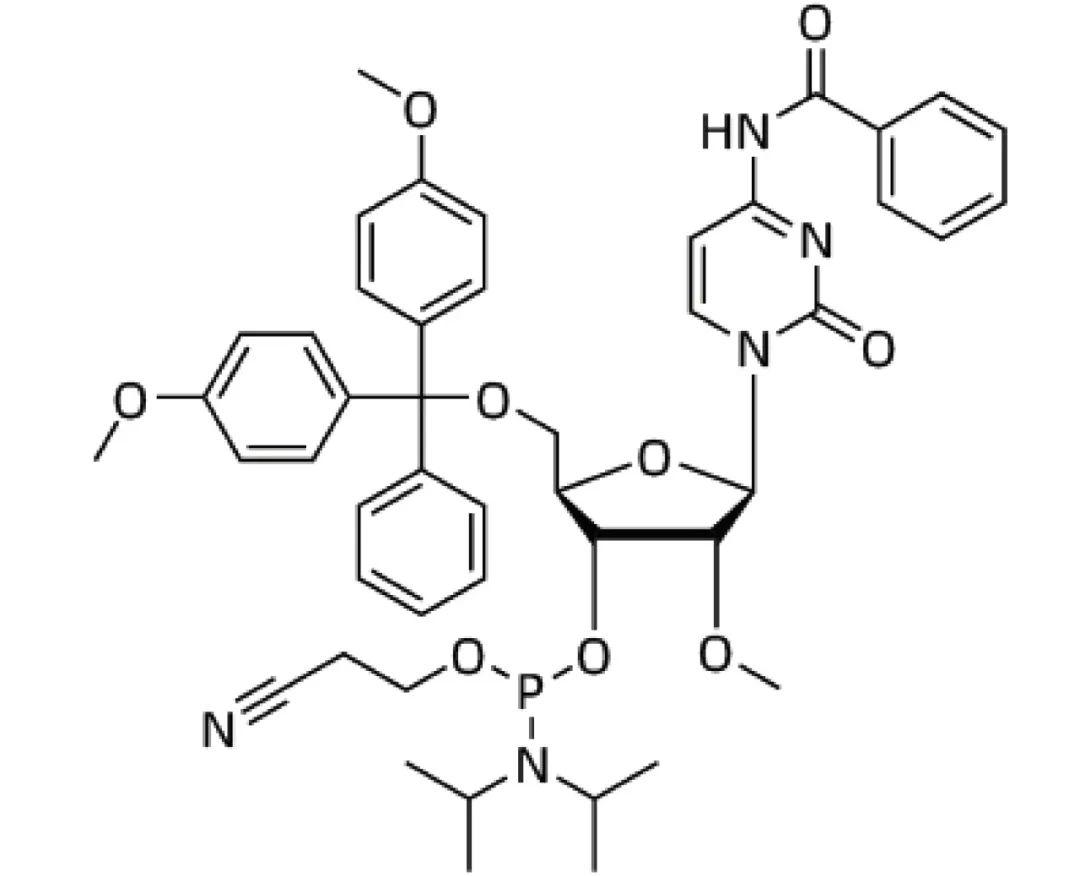 核酸综述丨修饰RNA的合成难点与突破 - 知乎