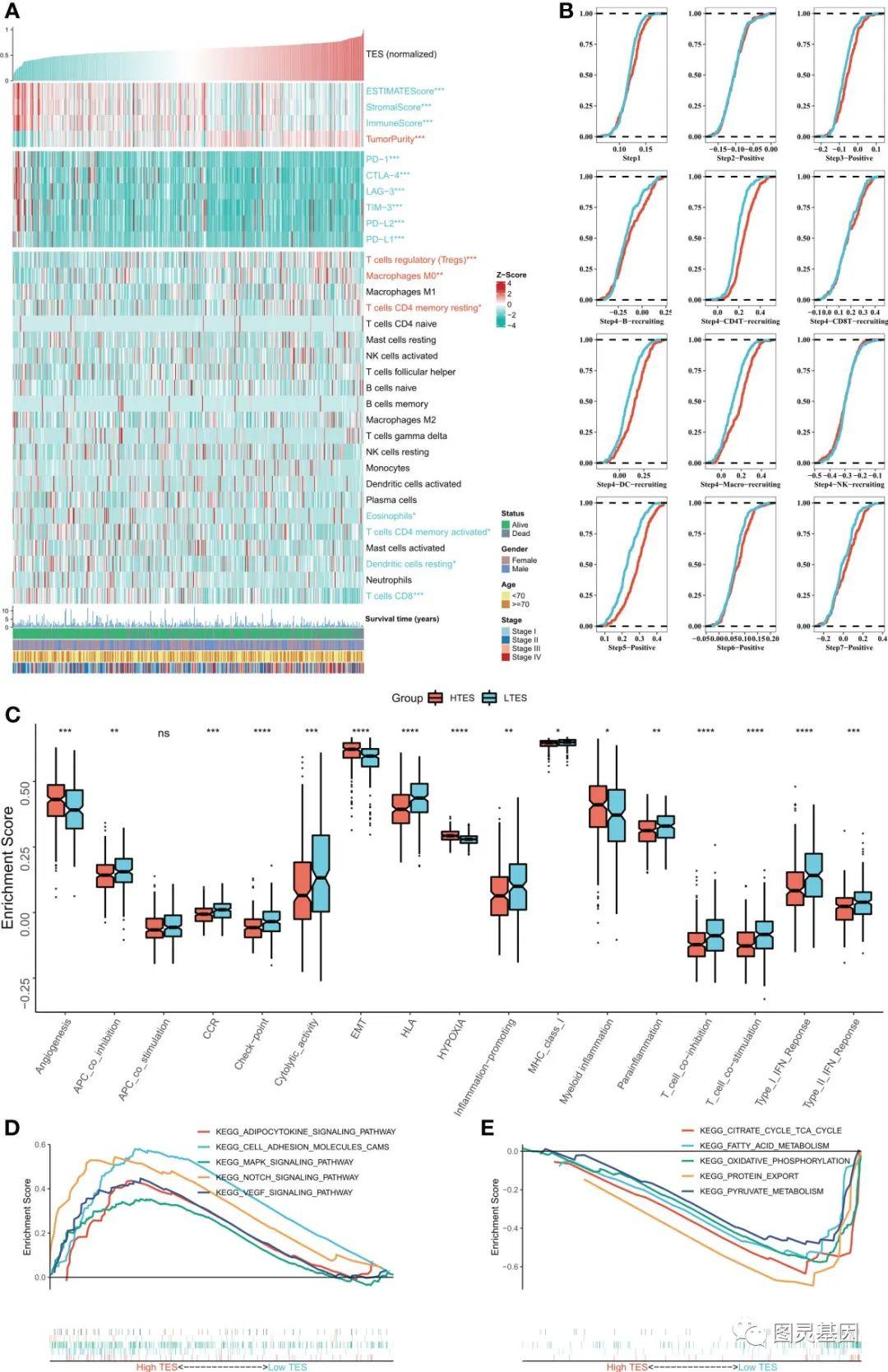 AI+单细胞轨迹分析结肠癌T细胞耗竭 - 知乎