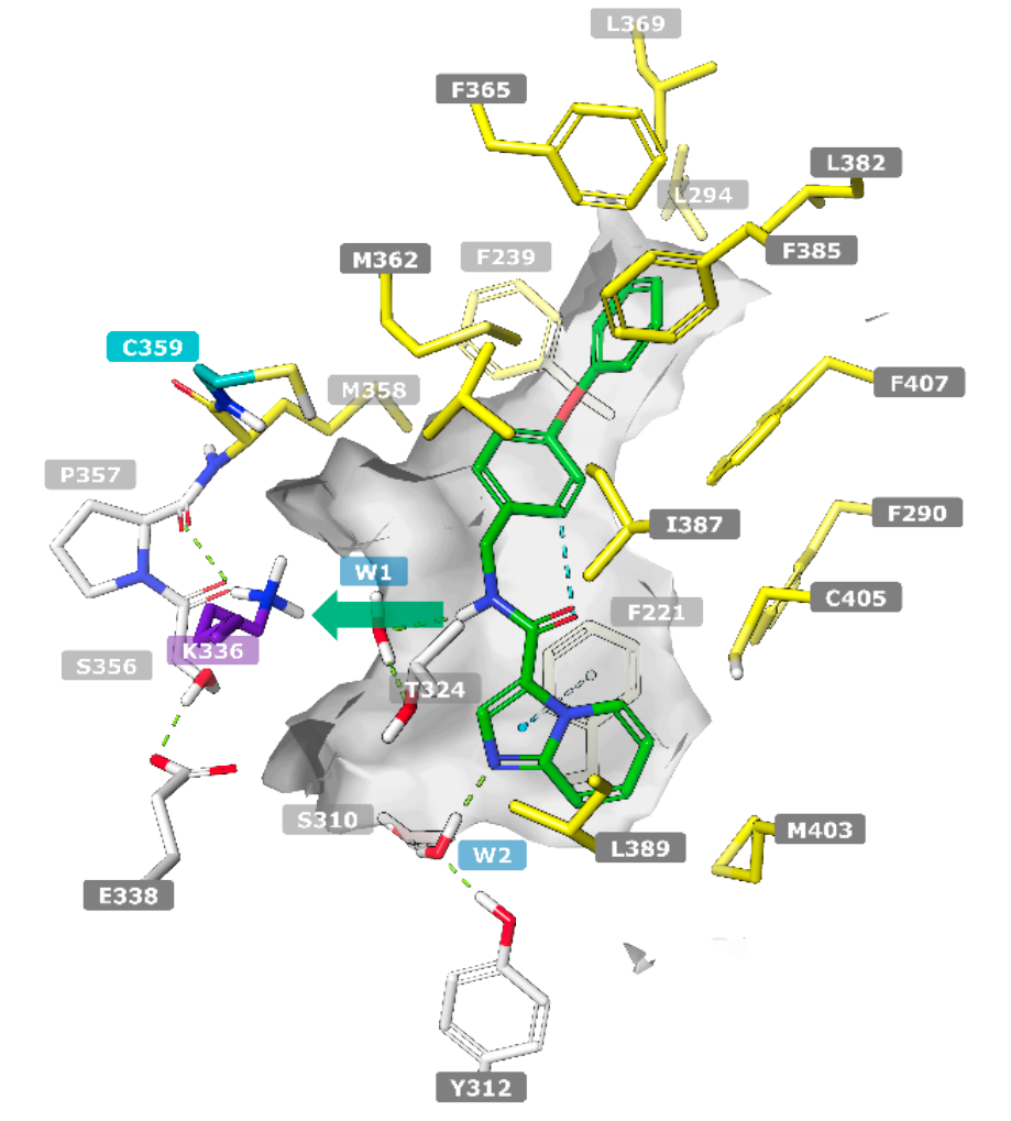 TEAD抑制剂｜活性分子优化，无氟不能！一个不够，再来一个！ - 知乎