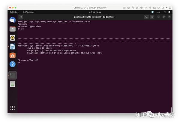 【PD19】安装Ubuntu 22.04 x86_64_emulation / 运行 MS-SQL Server for Linux - 知乎