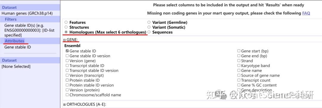 常规转录组入门分析——Gene ID转换 - 知乎