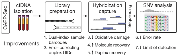 Nature | 循环肿瘤 DNA（ctDNA)筛选早期肺癌 - 知乎