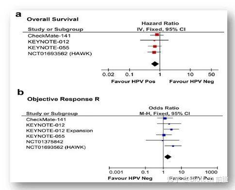 HPV感染型肿瘤免疫获益的机制研究，可摒弃PD-L1筛选？ - 知乎