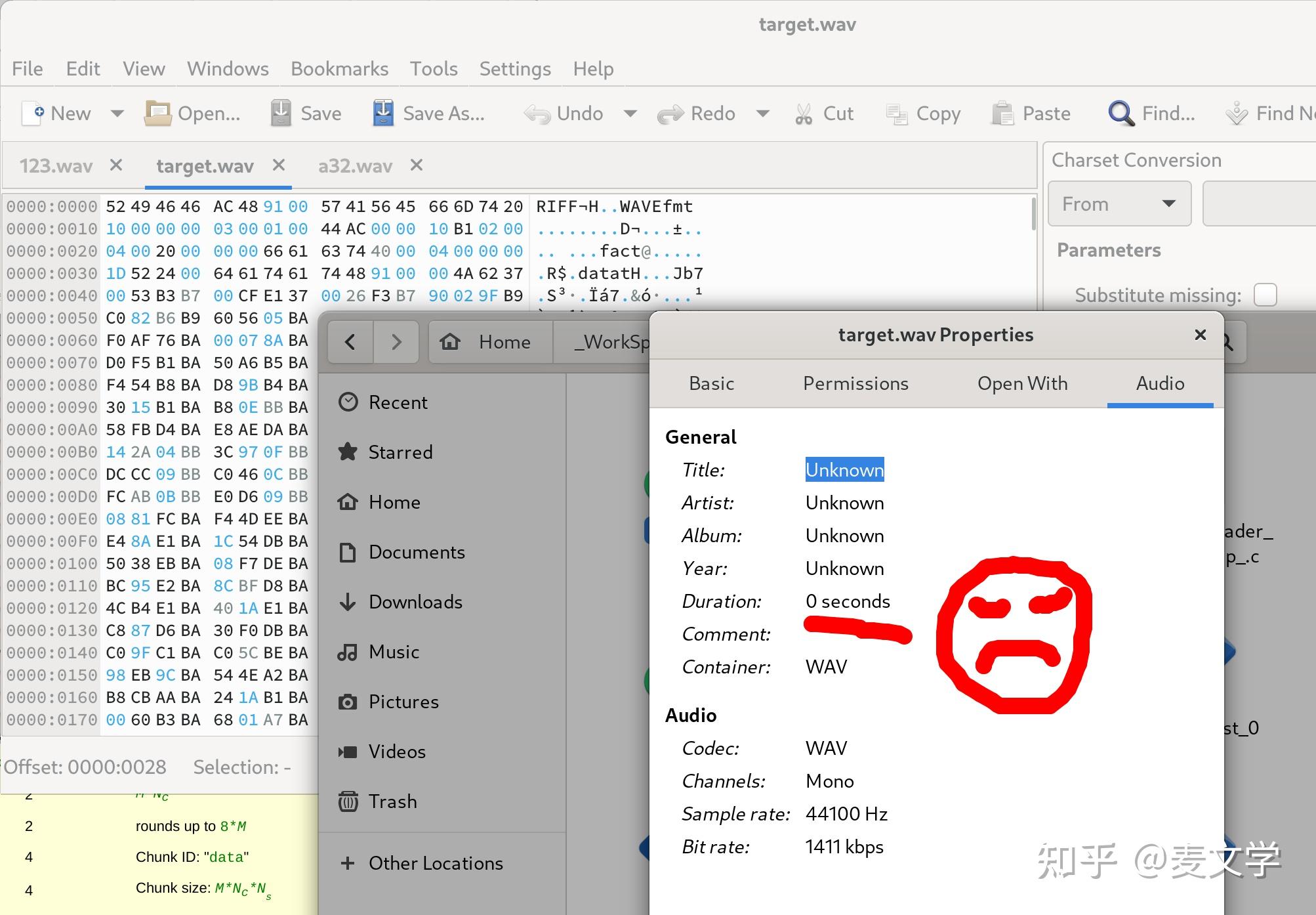 波形 WAV 文件头结构（结构体）: 音频采集后续小实验后续小实验