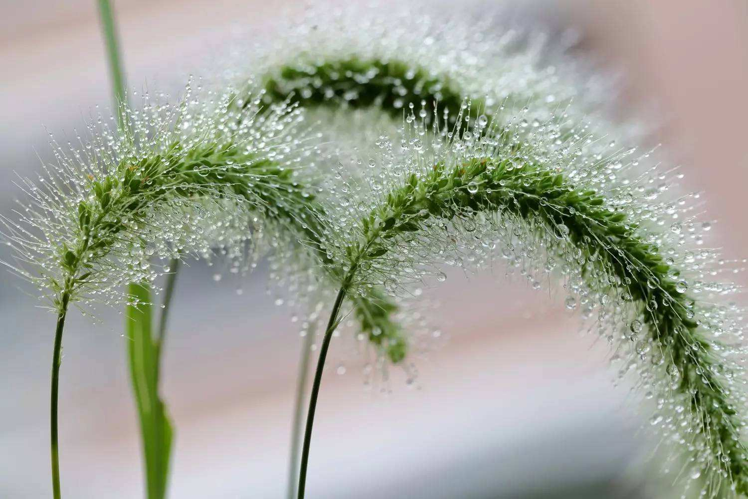 经络与气（一）何谓气 - 知乎