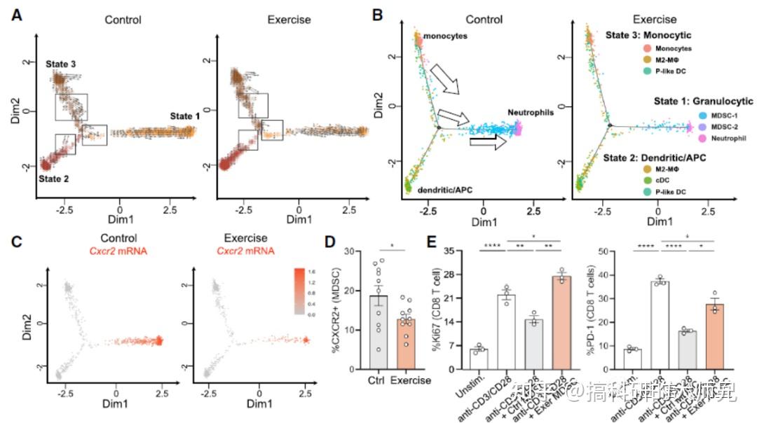 Cancer Cell | 运动可以增强IL-15/IL-15Rα信号轴，促进胰腺癌抗肿瘤免疫 - 知乎