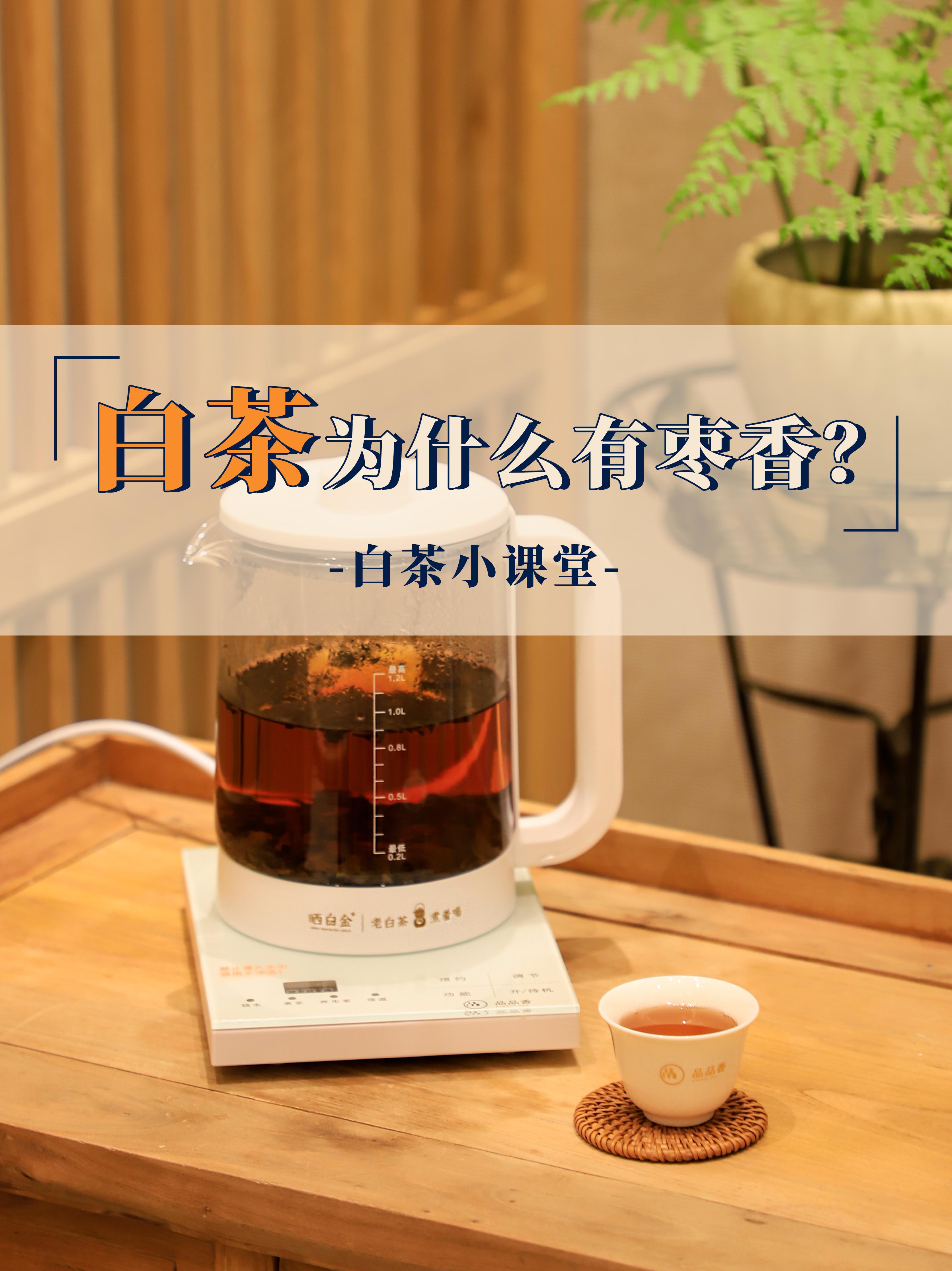 白茶为什么会有枣香？ 知乎