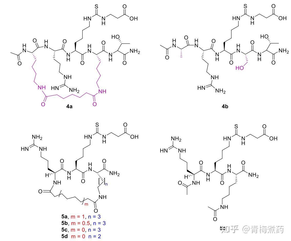 药物发现 | 蛋白质赖氨酸脱酰基酶Sirtuin 5（SIRT5）的治疗潜力和活性调控 - 知乎