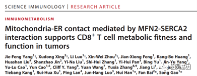Sci Immu | 中山大学团队发现：线粒体-内质网接触支持肿瘤中的CD8+T细胞代谢适应性和功能 - 知乎