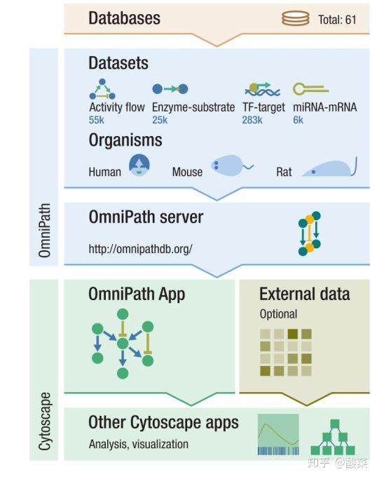 信号通路分析神器——OmniPath插件 - 知乎