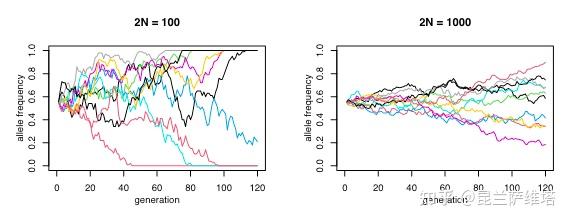 遗传漂变和Wright-Fisher model - 知乎