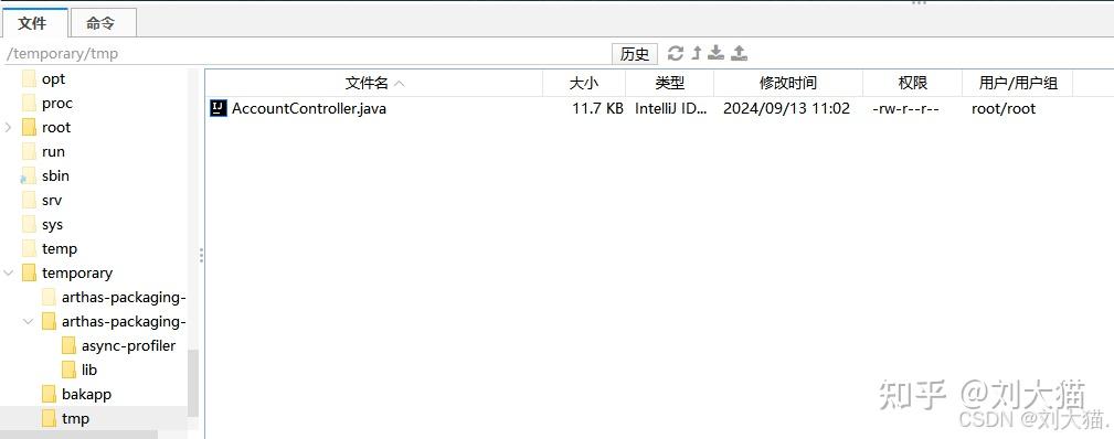 Arthas mc（Memory Compiler/内存编译器 ） - 知乎