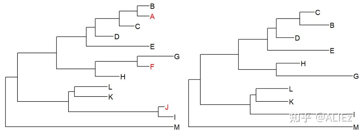 R语言绘制进化树：treeio+ggtree - 知乎