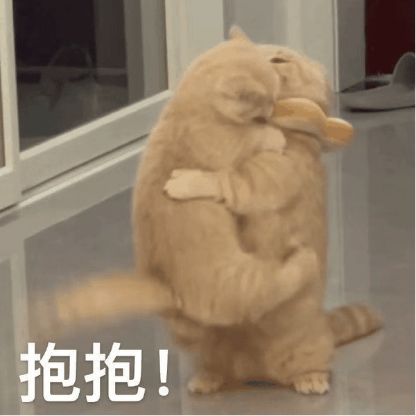 搞笑的动图gif表情包 - 知乎