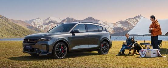 20万-30万中大型SUV，岚图FREE 318和理想L6谁更有性价比 - 知乎