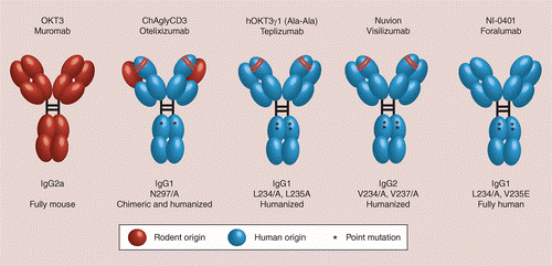 双抗热门靶点：CD3 - 知乎