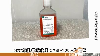 H22细胞培养，小鼠腹水肝癌细胞培养攻略-丰晖生物 - 知乎