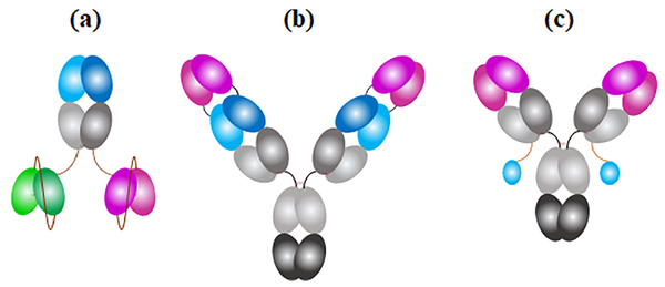 H44-L100：没有什么是一个二硫键解决不了的 - 知乎