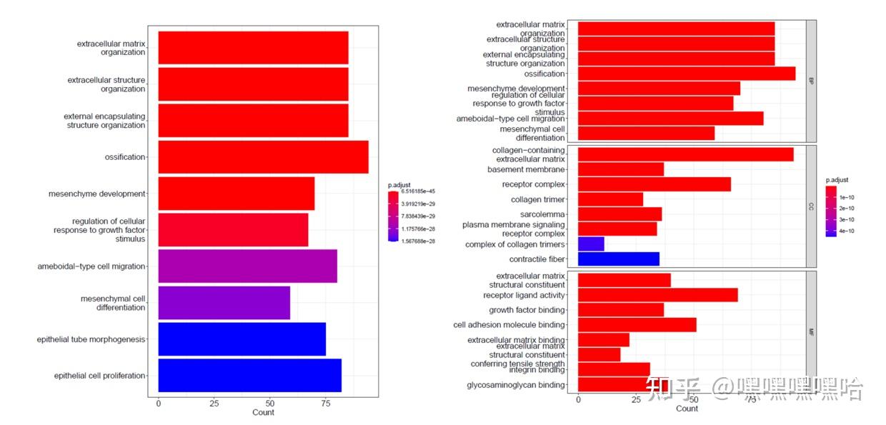 RNA-seq入门实战（六）：GO、KEGG富集分析与enrichplot超全可视化攻略 - 知乎