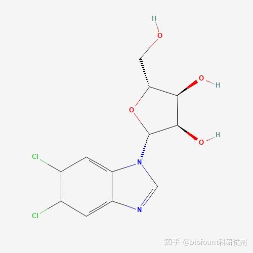 DRB（苯并咪唑）;酪蛋白激酶II抑制剂 - 知乎
