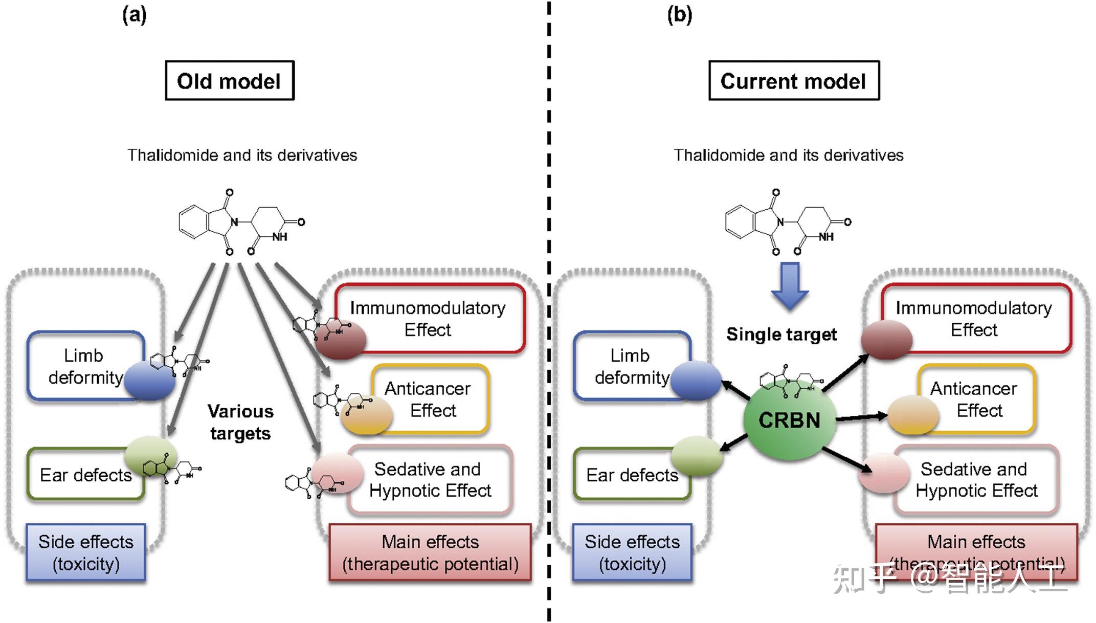 从偶然发现到理性设计，CRBN分子胶水的下一个靶标在何方？ - 知乎