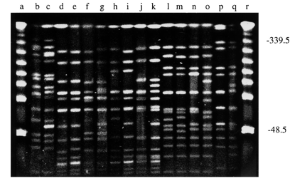 MLST：医院鉴定病原菌分型的必备方法！ - 知乎